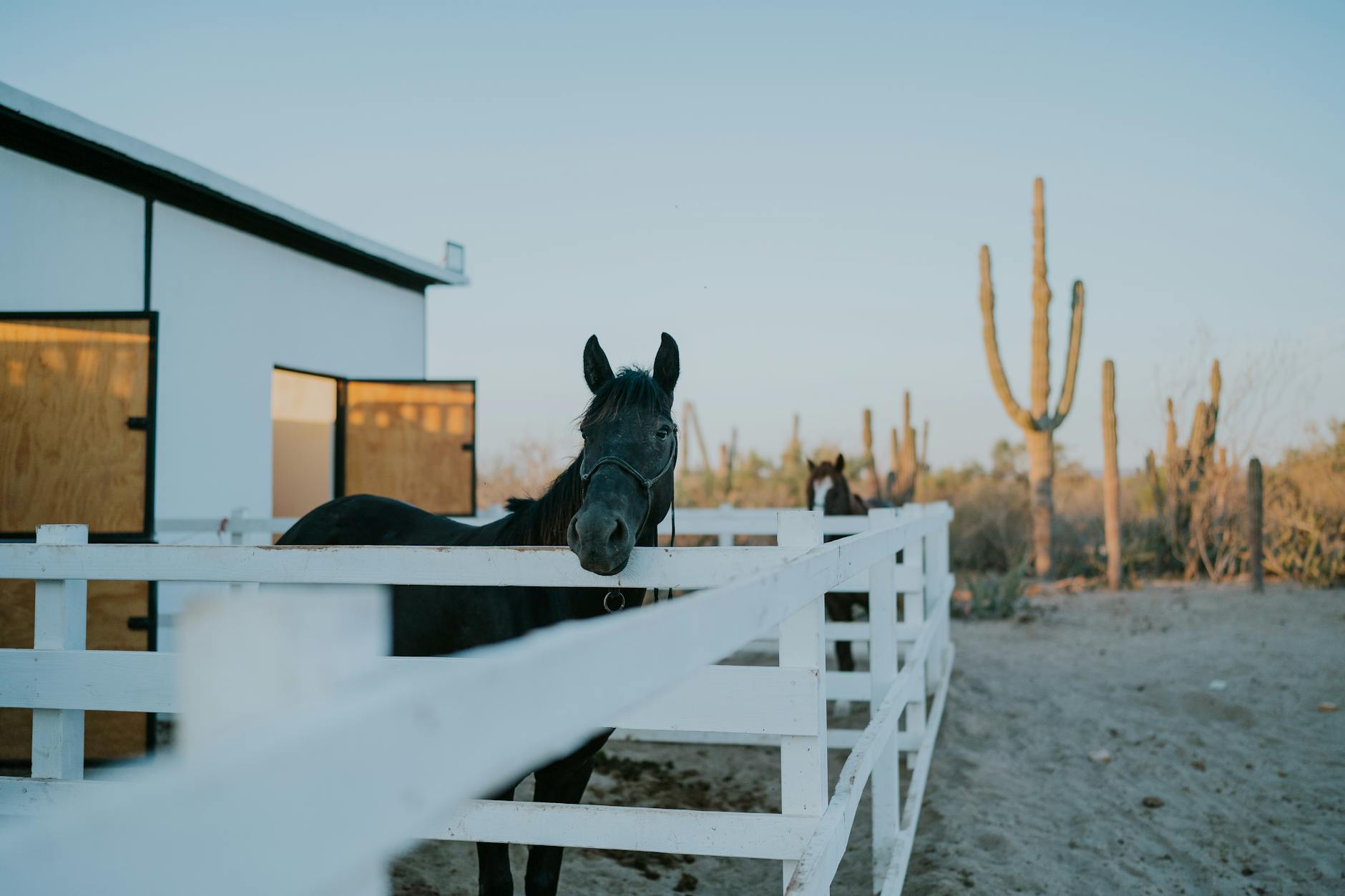 Passief Inkomen: Waarom En Hoe Je Moet Beginnen • RVHD - Lifestyle Connect
