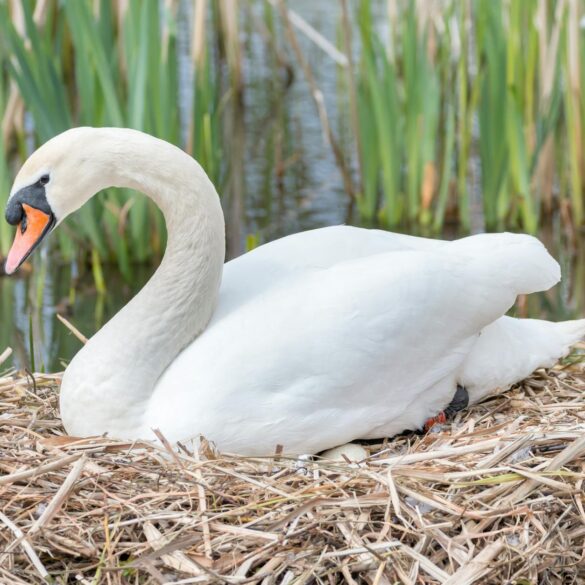 Virtual Reality Voor Beginners: Wat Moet Je Weten? • RVHD - Lifestyle ...